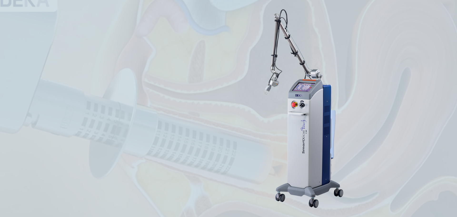 Instituto Vaelma Melo - Laser CO₂ Monalisa Touch (laser íntimo)